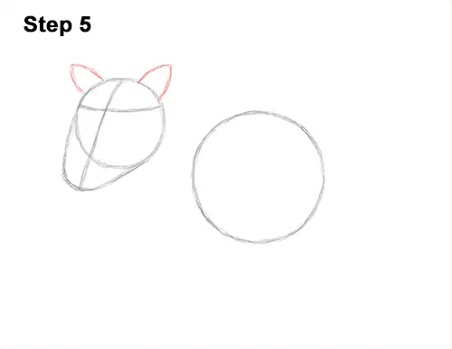 How to Draw a Warthog VIDEO & Step-by-Step Pictures